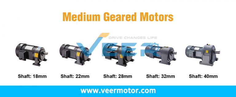 Veer motor offers horizontal, vertical high-ratio (brake) gear reducer ...